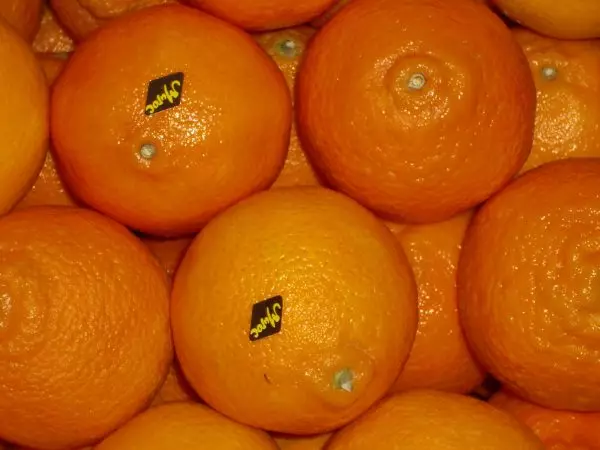 Mandarinas marroquíes