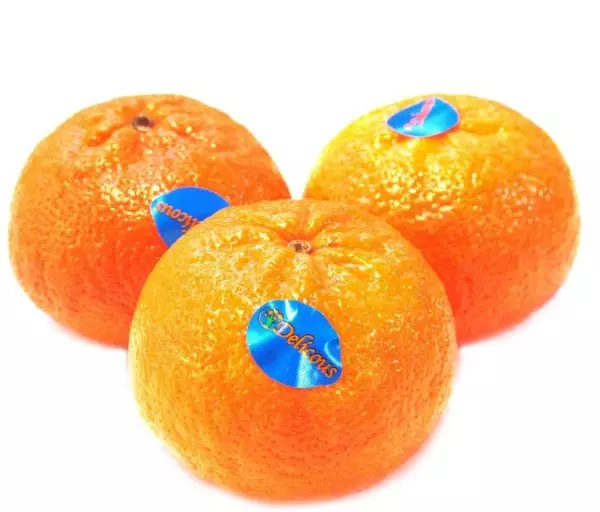 Egypt Mandarins