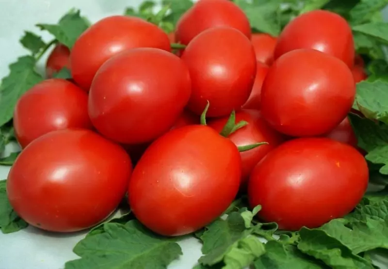 Καλύτερες πρώτες ποικιλίες ντομάτας 4124_3