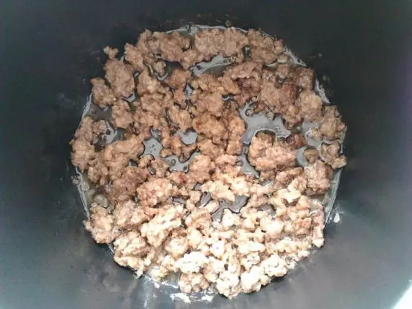 একটি ধীর কুকার মধ্যে minced মাংস এবং পেঁয়াজ