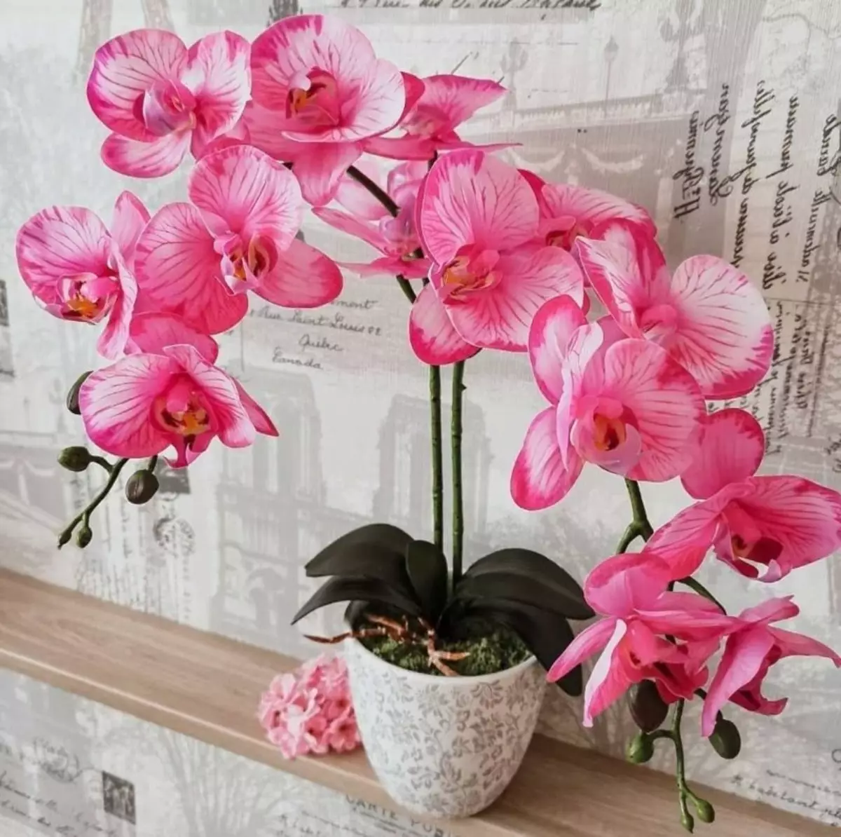 7 Blomsteravlinger som vil dekorere noe uklart interiør 4197_7