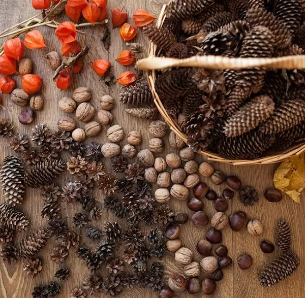 Natural materials for decorating a festive wreath
