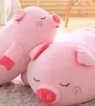 Yumuşak oyuncak domuzlar