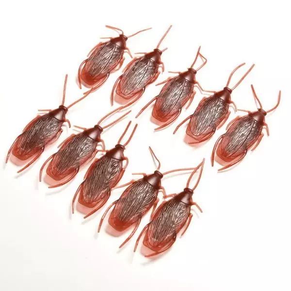 Housemade Cockroaches: abin da suke kallo, asali da girma, da akeabtar da cututtuka, cutarwa da amfanuwa ga hotuna da bidiyo