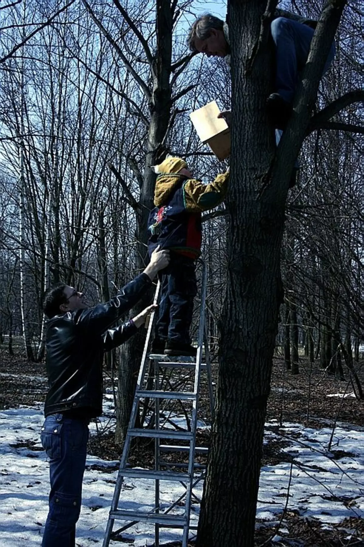 Folk hænger et fuglehus på et træ