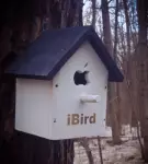 Birdhouse na may Curly Pilot.