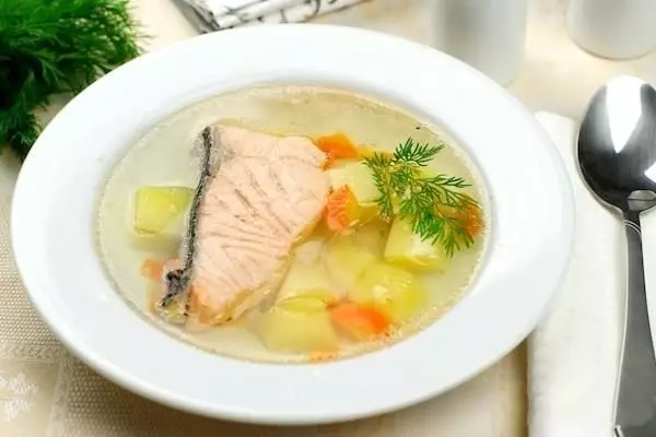 Salmon gullari plitasi