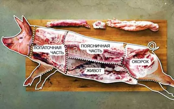 Kiaulienos skerdenos pjovimo diagrama