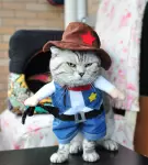 Sheriff Costume.