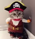 西裝“海盜”