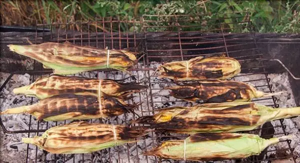 Pečeni kukuruzni cobs s lišćem na mreži mangale