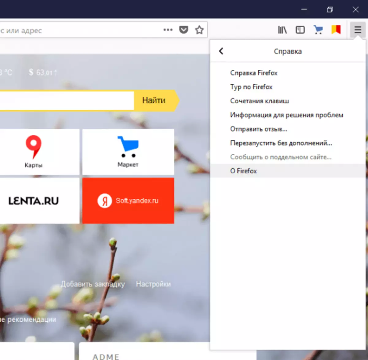 Šta treba učiniti preglednik smreke Mozila Firefox usporava - razloge i načine za rješavanje problema 4445_16