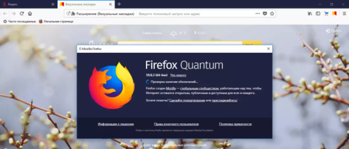 Պատուհան «Mozilla Firefox» - ի մասին