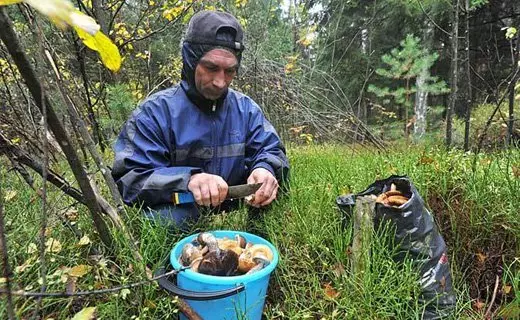 森の中で予備的な清掃キノコを行使する男