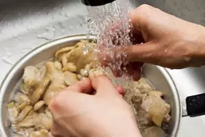Ngumbah jamur sadurunge masak