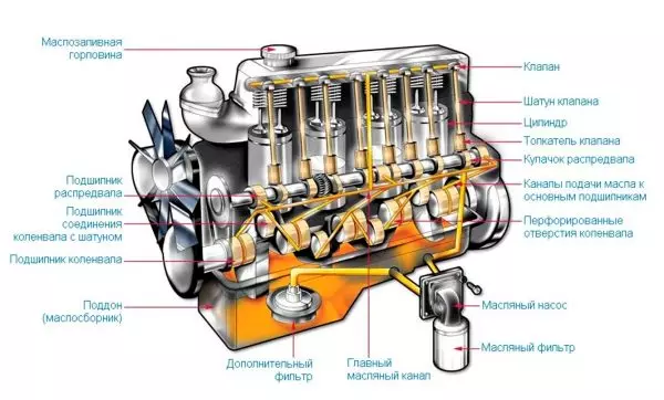 Motor i sektion