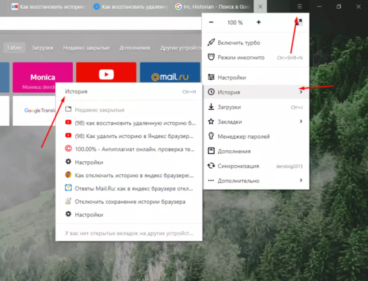 Как да видим отдалечена история в браузъра Yandex, може ли да бъде възстановена и как да направите това, че тези данни не са запазени, когато