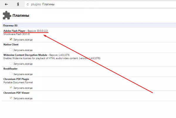Adobe Flash Player sa mga plugin