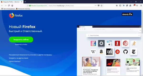 Cum se actualizează browserul pe un computer, laptop, telefon - instrucțiuni pas cu pas și descrieri ale diferitelor moduri 4520_13