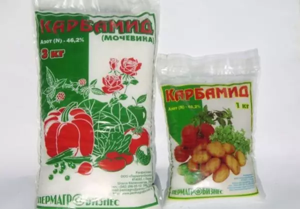 Carbamide - nitrogen-containing fertilizer