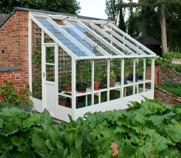 Single Dak Greenhouse