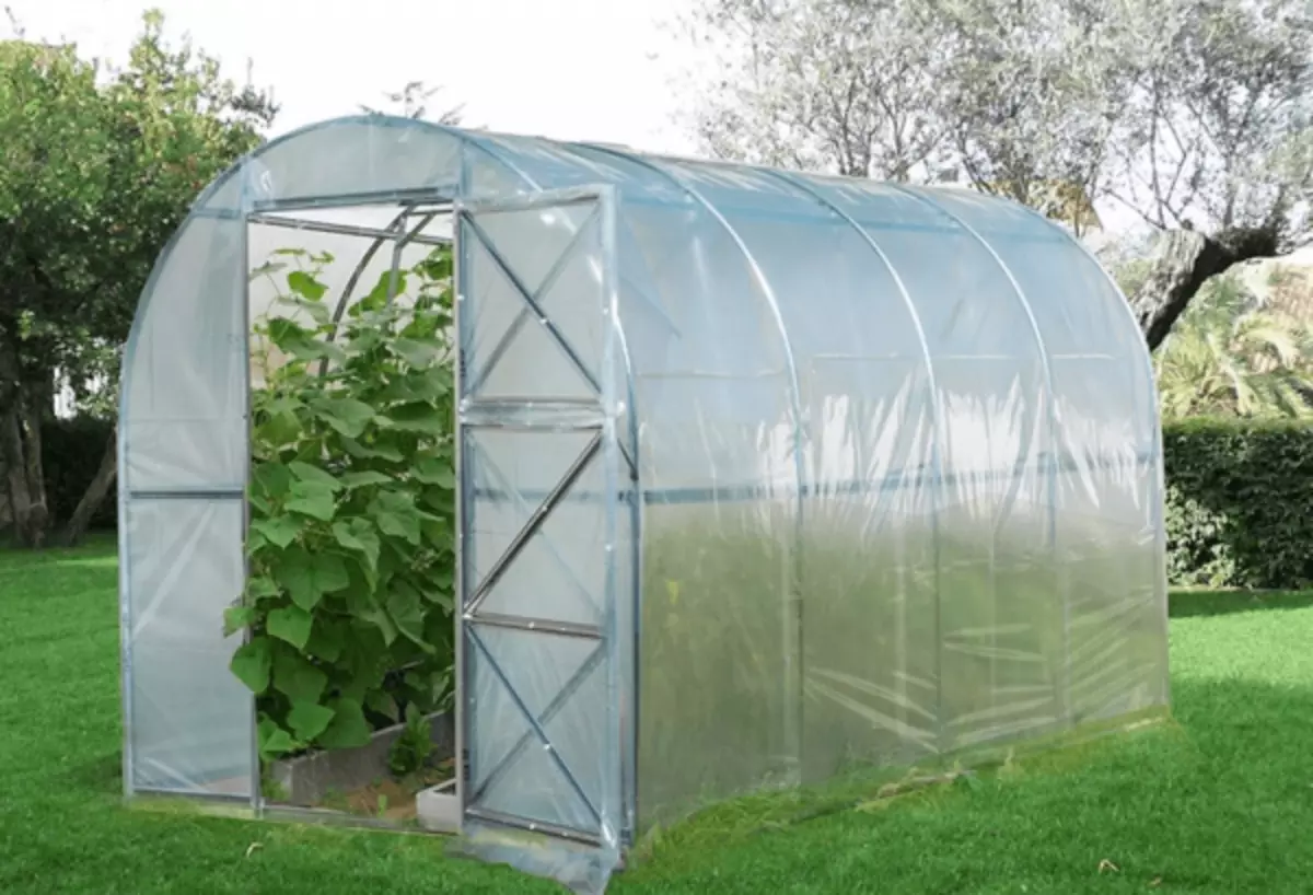 Greenhouse iz filma