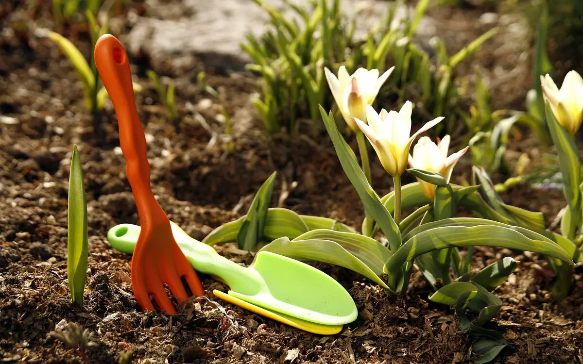 Våren arbeider med hagen (i mars, april og mai), som må utføres