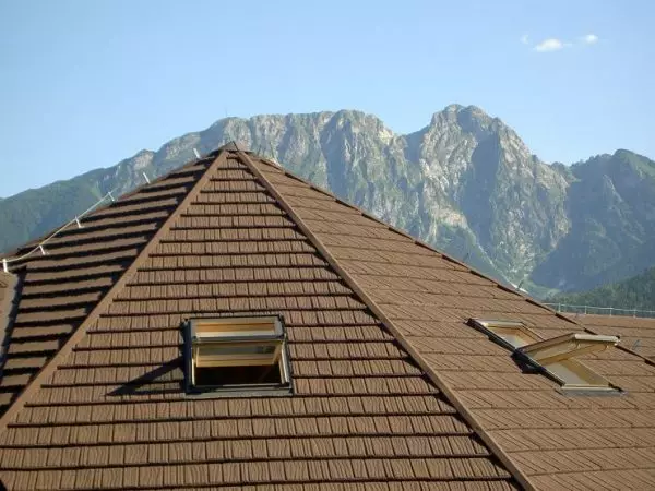 Casa con un tetto di una piastrella composita in montagna