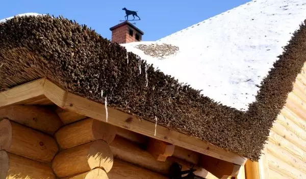 Strooi dak onder die sneeu