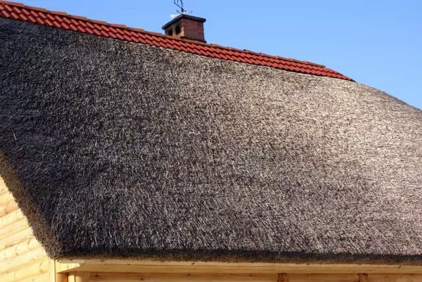 Saman çatı