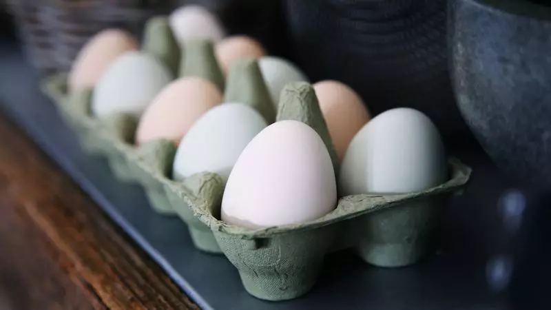 요리 후 조리 된 계란을 신속하게 식히는 방법은 잘 청소되도록합니다.