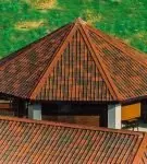 Oorspronklike dak van Ondulina