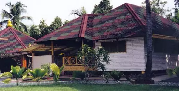 Roofing from different color ondulina