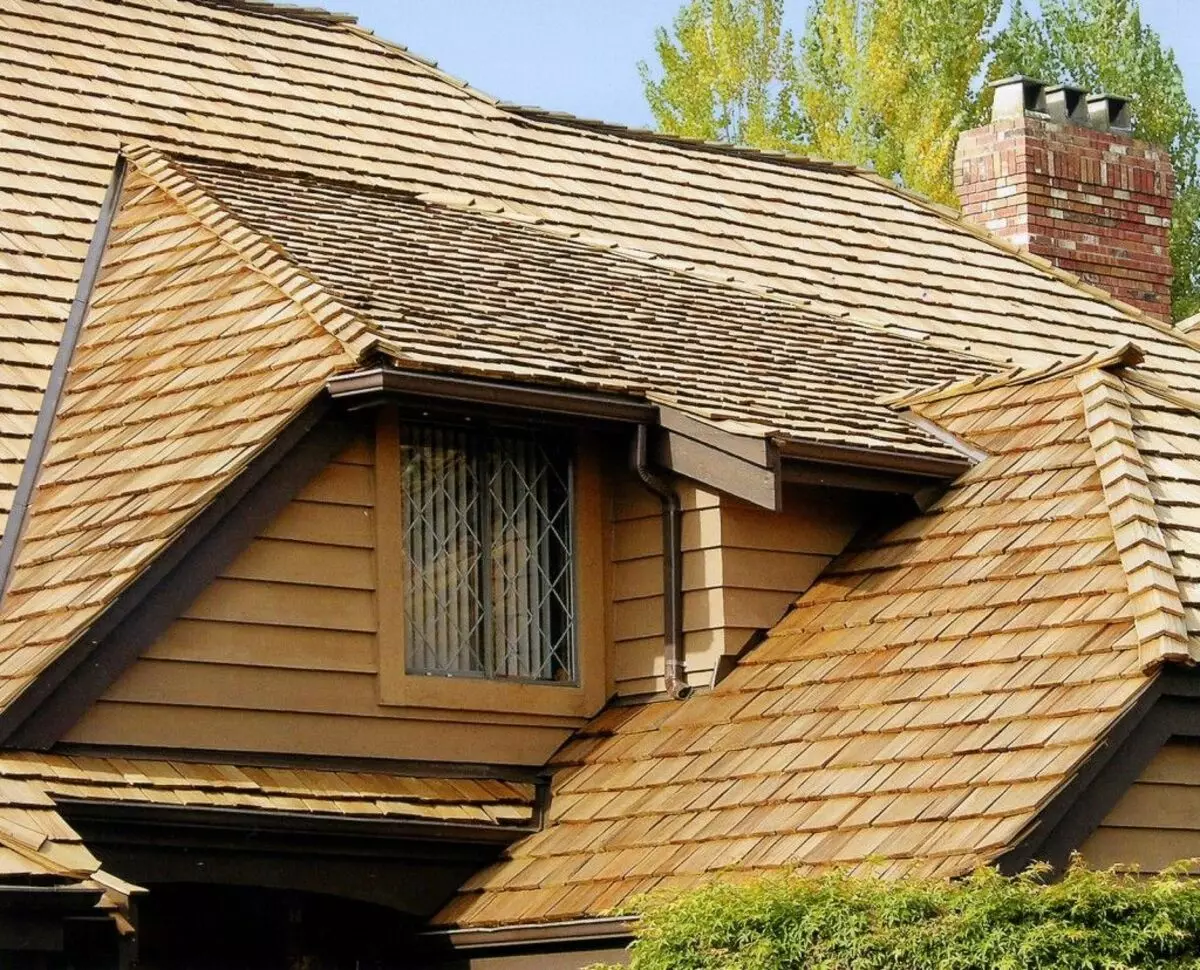 DRANCO za streho, vključno z lastnimi rokami, kot tudi značilnosti vzdrževanja take strehe