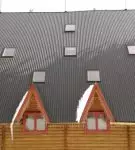 Lange skat daken uit profiel