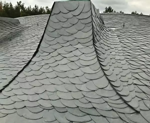屋顶石板雕刻家Schiefer