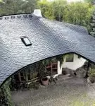 有页岩屋顶的房子
