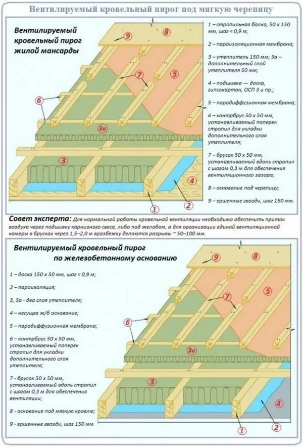 Vertipeted counging pipi i lalo o le malu malu