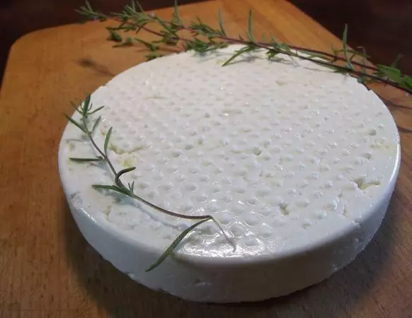 Círculo de queijo adygei com um ramo de vegetação em uma placa de corte