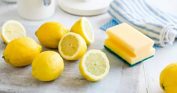 Lemon and kitchen sponge