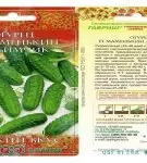 Seeds Cucumbers Mamienekin Pet