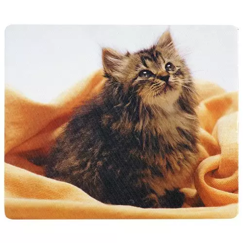 塑料地毯用小貓