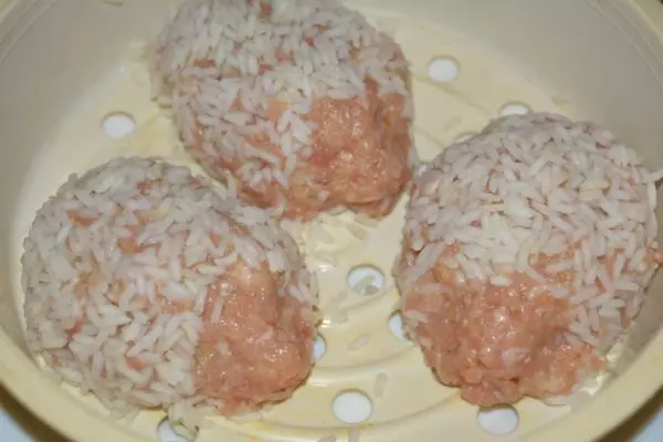 Billetes para los erizos de niños de carne picada con arroz.