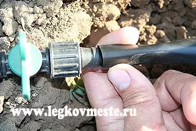 Connect the ribbon of drip irrigation to the transfer crane