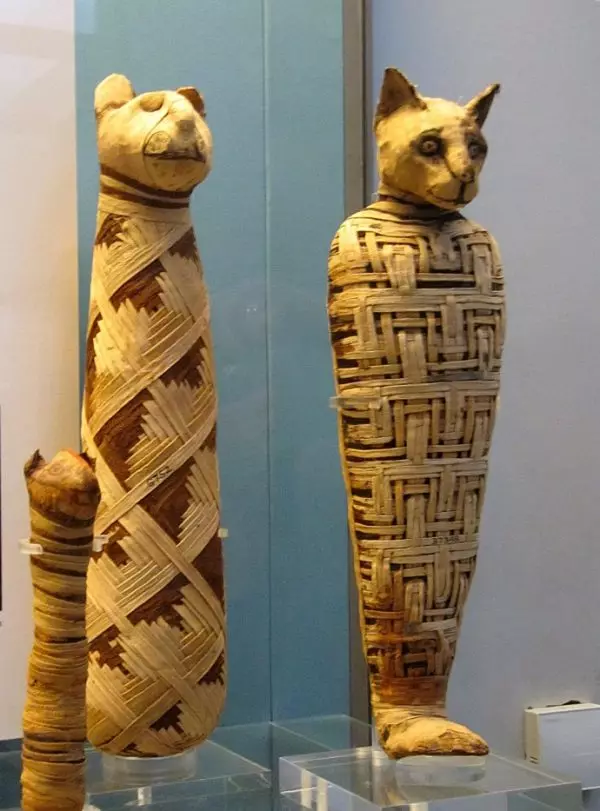 I-sarcophas kwiikati