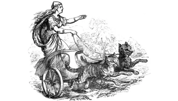 פרייה על מרכבה שנקטפו על ידי שני חתולים