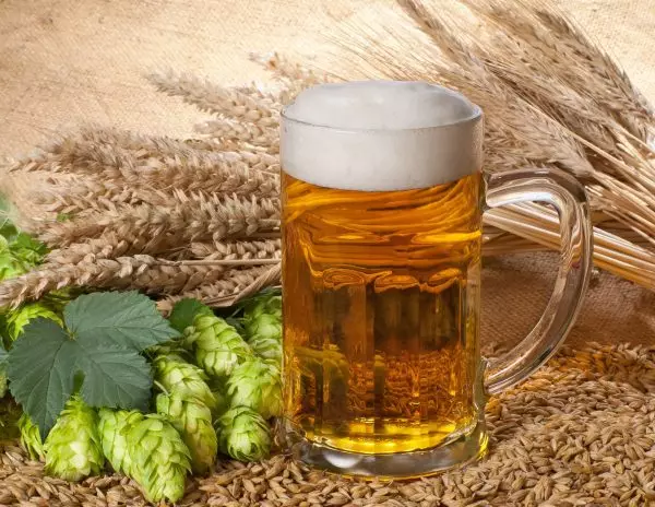 Crempogau ar Beer Unreal Delicious: Rysáit Cam-wrth-gam gyda lluniau a fideos