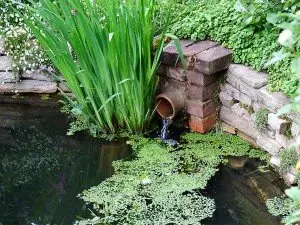 Hoe om water in die tuin te maak met jou eie hande, foto's, eenvoudige en bekostigbare opsies 69_3