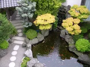 Hoe om water in die tuin te maak met jou eie hande, foto's, eenvoudige en bekostigbare opsies 69_8