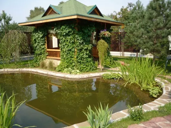 Com col·locar un estany al jardí